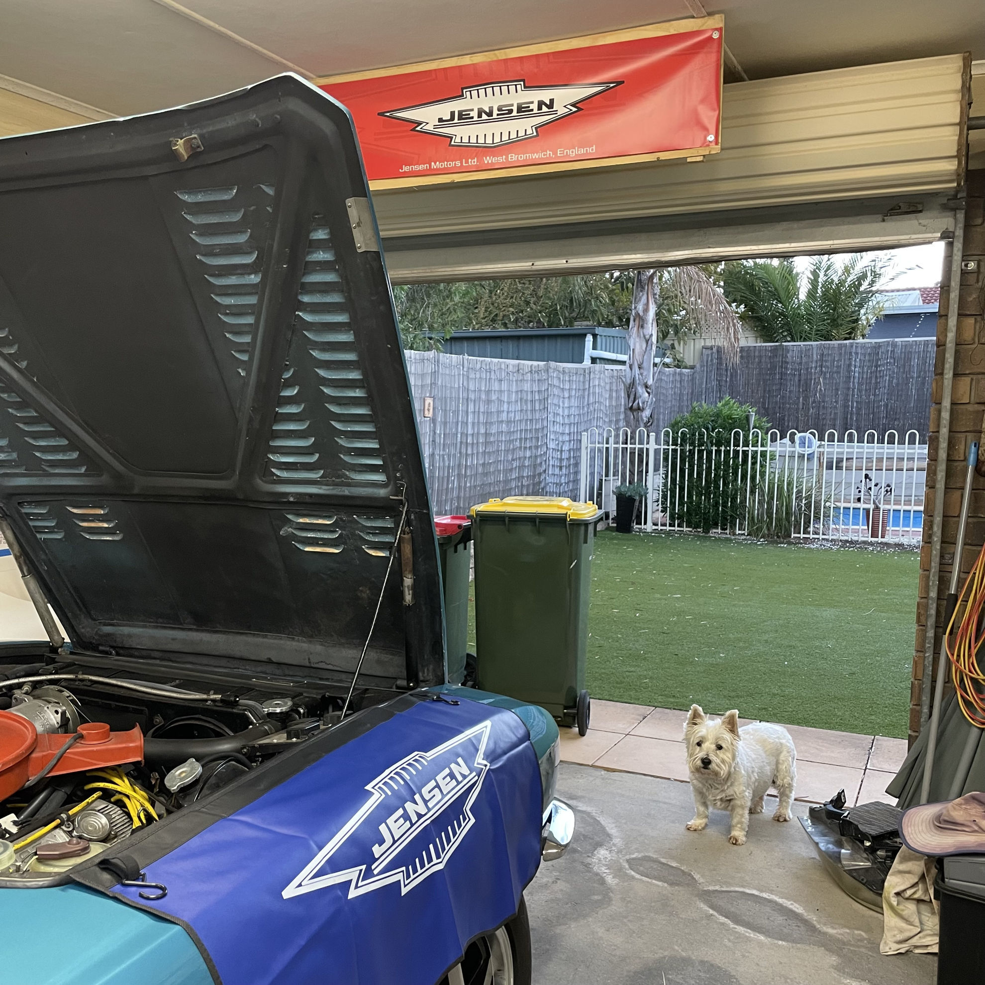 Jensen Car Club Australia Shop. Magnetic Wing Protector